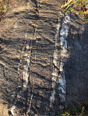 Solved Describe the geological structures in the rock/stone | Chegg.com