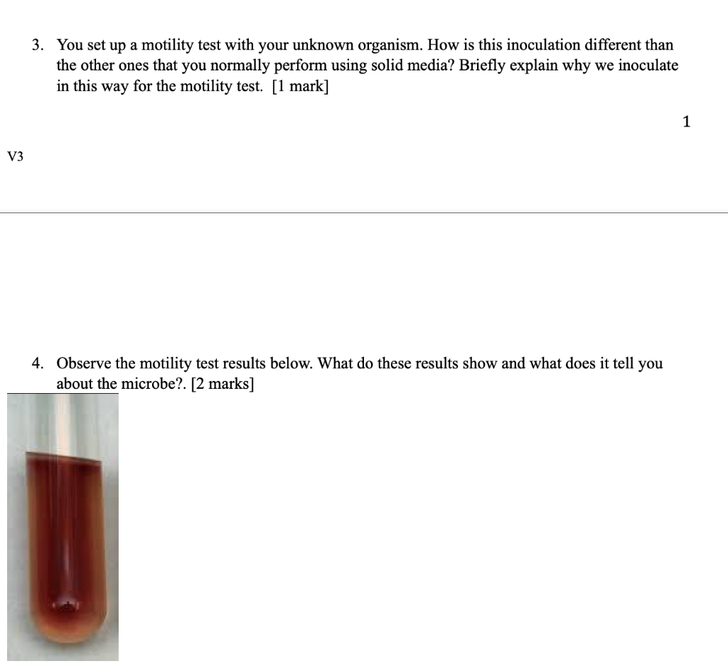 Solved 3. You set up a motility test with your unknown | Chegg.com