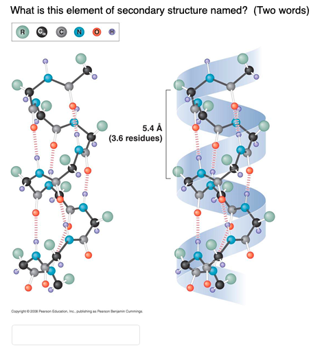 Solved What is this element of secondary structure named? | Chegg.com