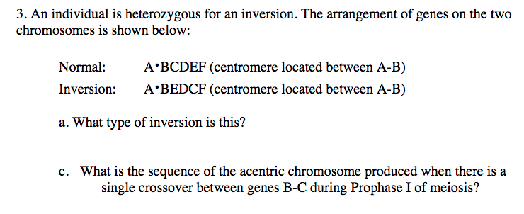 Solved 3. An individual is heterozygous for an inversion. | Chegg.com