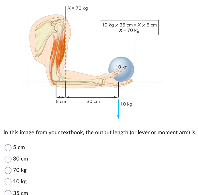 Solved in this image from your textbook, the output length | Chegg.com