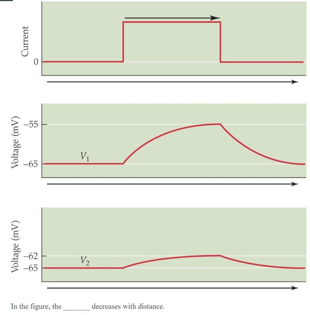 Solved Current –55 07 Voltage (mV) ៦ V Voltage (mV) V2 -65 | Chegg.com