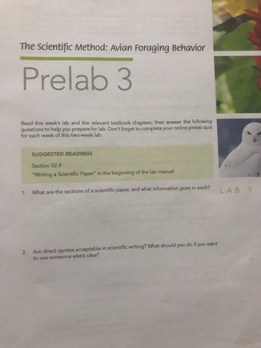 Solved The Scientific Method: Avian Foraging Behavior Prelab | Chegg.com