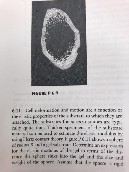 Solved FIGURE P 6.9 6.11 Cell deformation and motion are a | Chegg.com