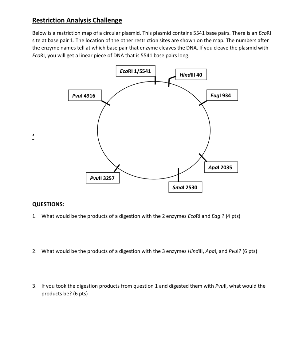 Solved Restriction Analysis Challenge Below is a restriction | Chegg.com