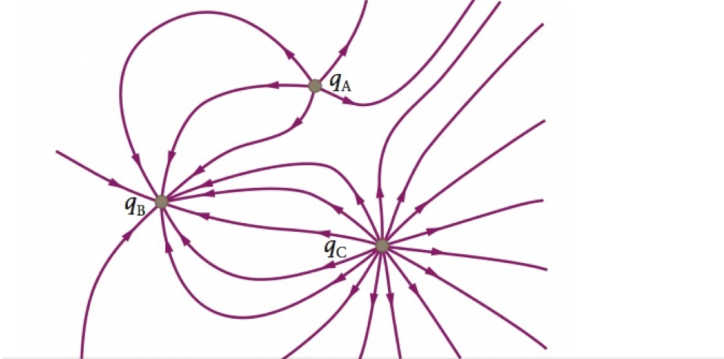 Solved QUESTION 5 The electric field lines surrounding three | Chegg.com