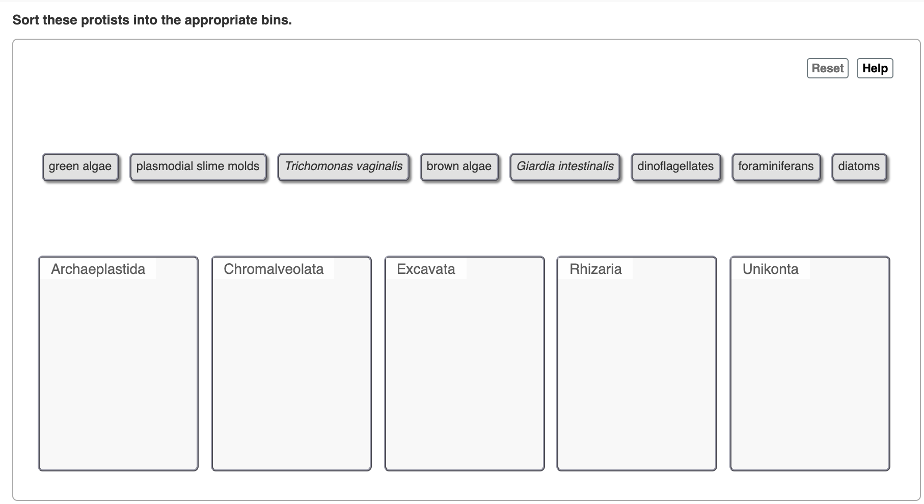 Solved Sort these protists into the appropriate bins. Reset | Chegg.com