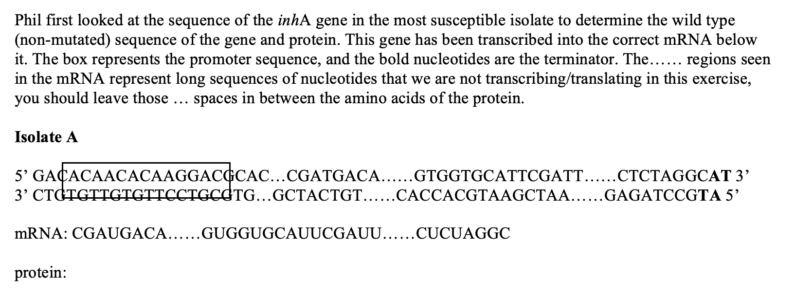 Solved Phil first looked at the sequence of the inhA gene in | Chegg.com