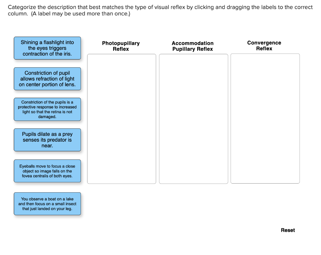 Solved Categorize the description that best matches the type | Chegg.com