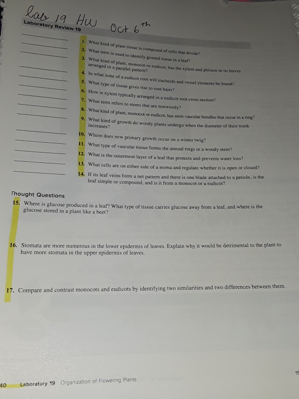 Solved lab 19 Hw Laboratory Review 19 not th 1. What kind of | Chegg.com