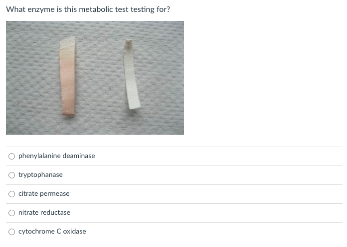 Solved What enzyme is this metabolic test testing for? | Chegg.com