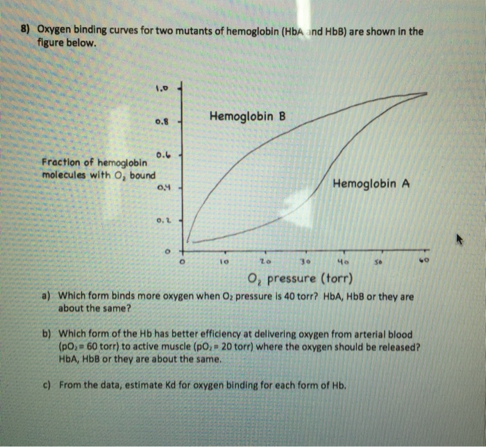 Solved 8) Oxygen binding curves for two mutants of | Chegg.com