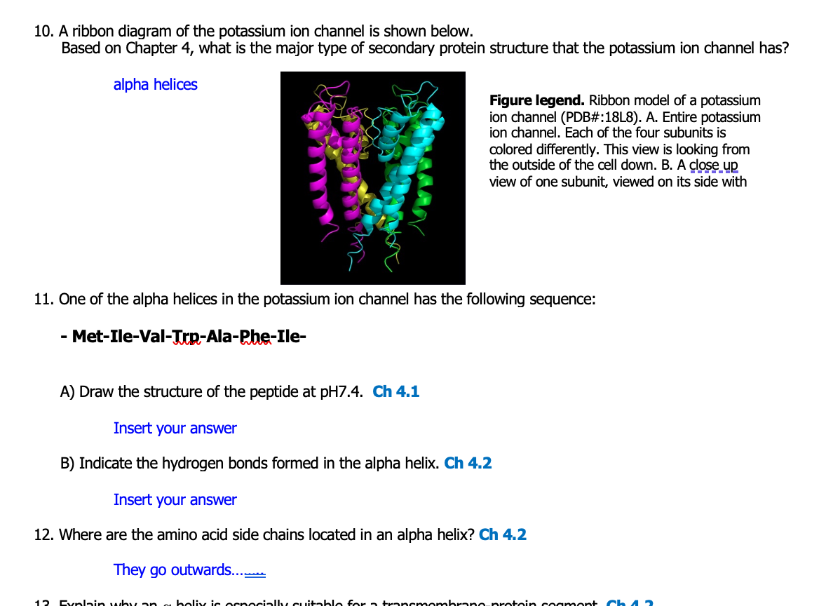 Solved One of the alpha helices in the potassium ion channel | Chegg.com