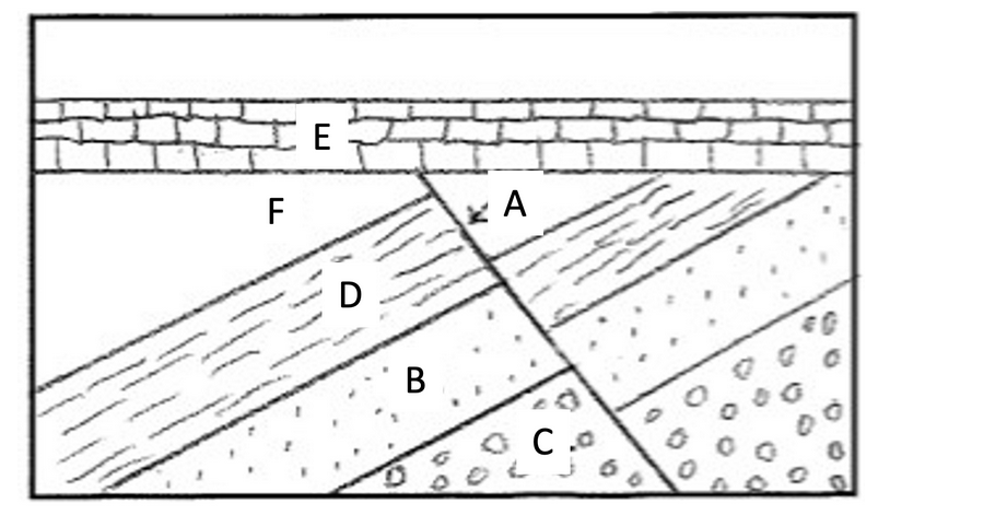 Solved - From OLDEST to YOUNGEST, list the NAME of each | Chegg.com