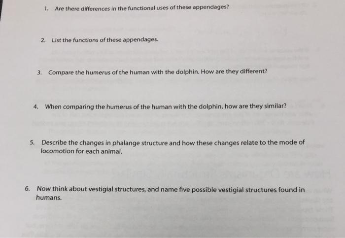 Solved How are Organisms Structurally Similar? When | Chegg.com