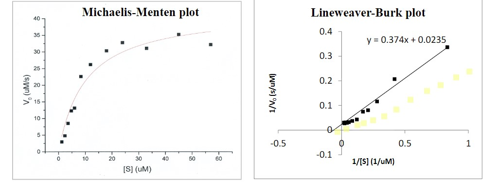 Solved Michaelis-Menten plot Lineweaver-Burk plot 40 0.4 35 | Chegg.com