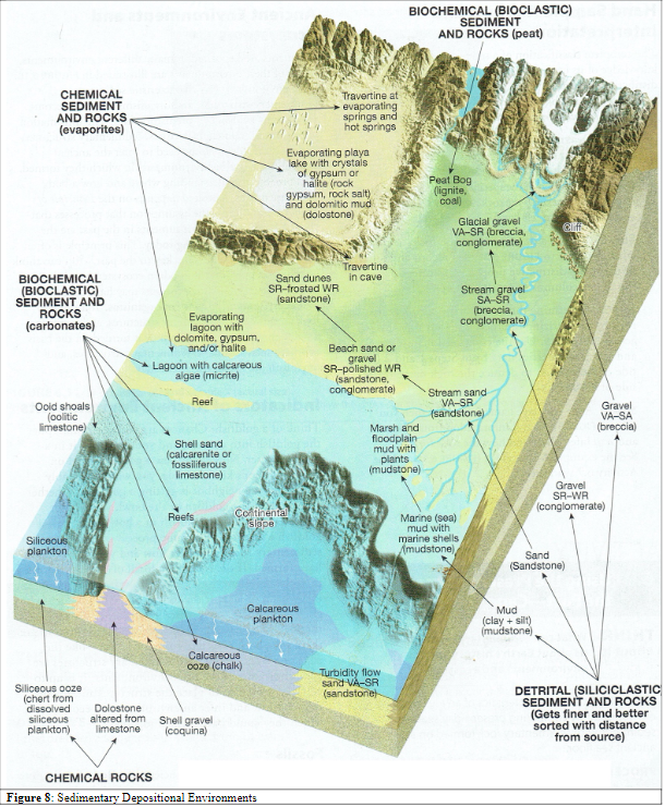 Solved 1) Describe the degree of rounding and sorting for | Chegg.com