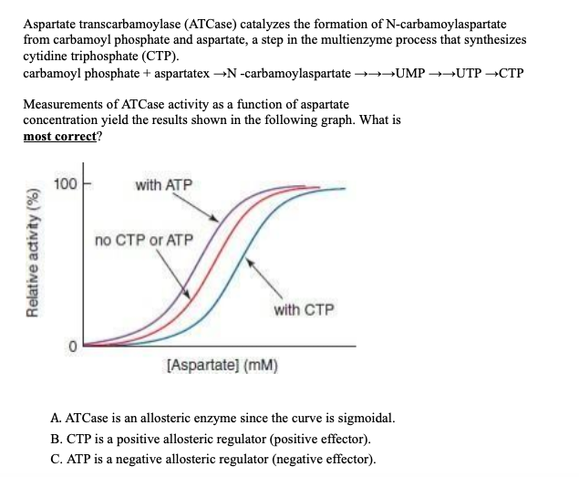 Solved Aspartate transcarbamoylase (ATCase) catalyzes the | Chegg.com