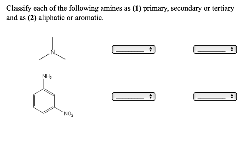 Solved Classify each of the following amines as (1) primary, | Chegg.com