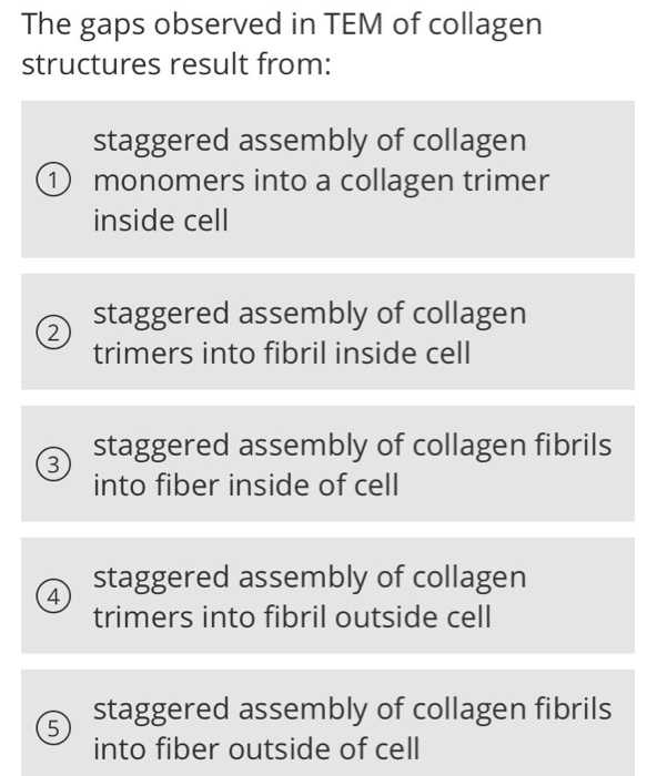 Solved The gaps observed in TEM of collagen structures | Chegg.com