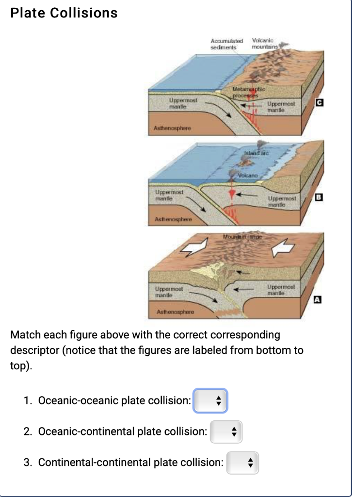 Solved Plate Collisions Accumulated Volcanic sedments | Chegg.com