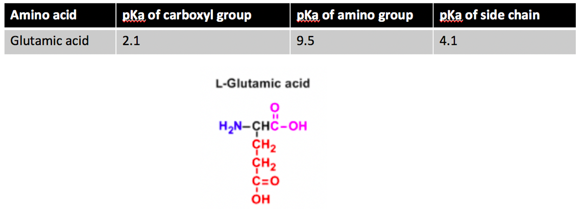 Solved What's the predominant form of glutamic acid at a pH | Chegg.com