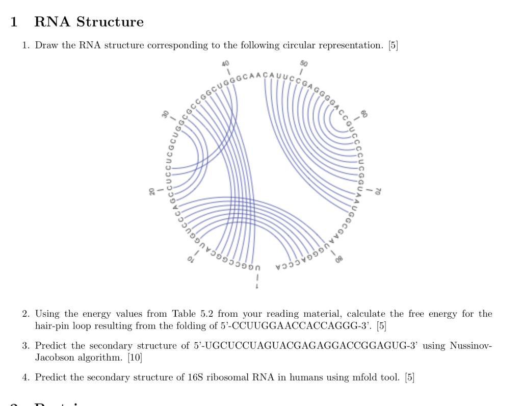 1 RNA Structure 1. Draw the RNA structure | Chegg.com