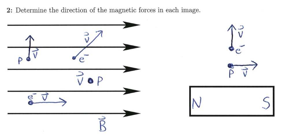 Solved 2: determine the direction of the magnitude forces in | Chegg.com