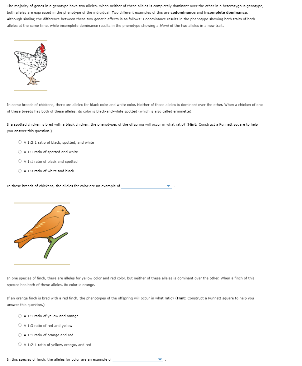 Solved Please answer the following questions In these | Chegg.com