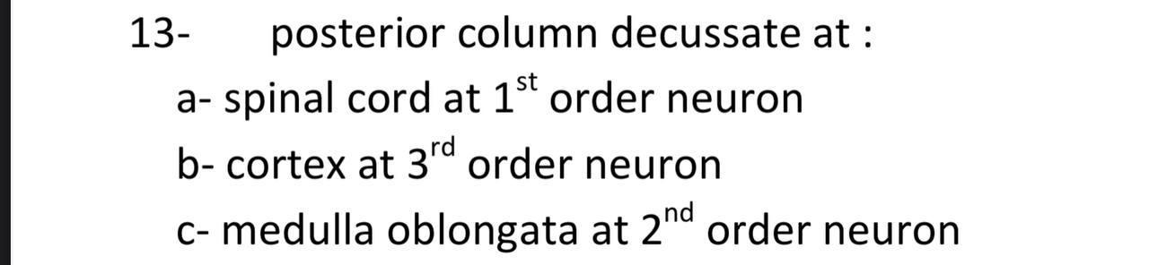 Solved st 13- posterior column decussate at: a- spinal cord | Chegg.com