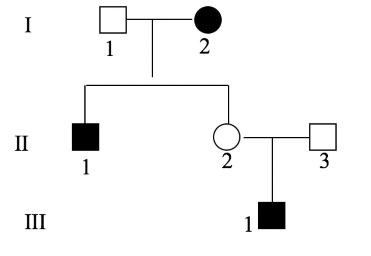Solved What is/are all possible modes of inheritance for the | Chegg.com