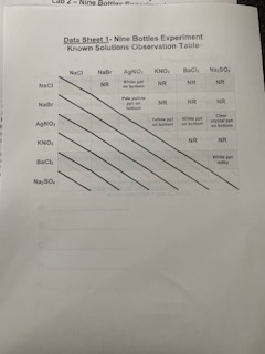 CH 112 General Chemistry II Lab 2 - Nine Bottles | Chegg.com