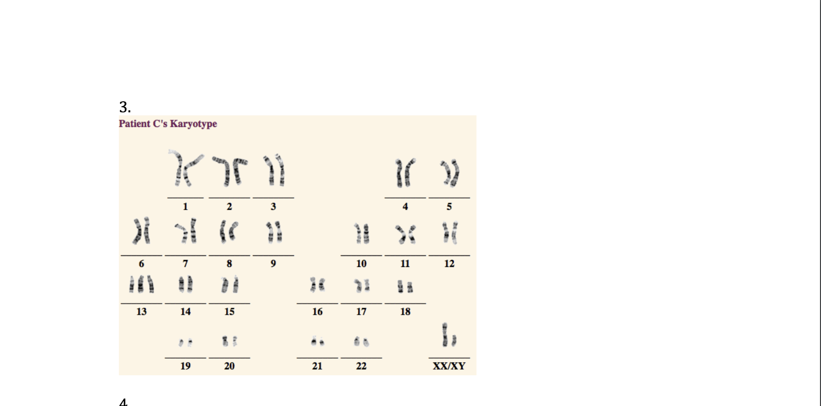 Solved For each karyotype, identify the genetic disorder | Chegg.com