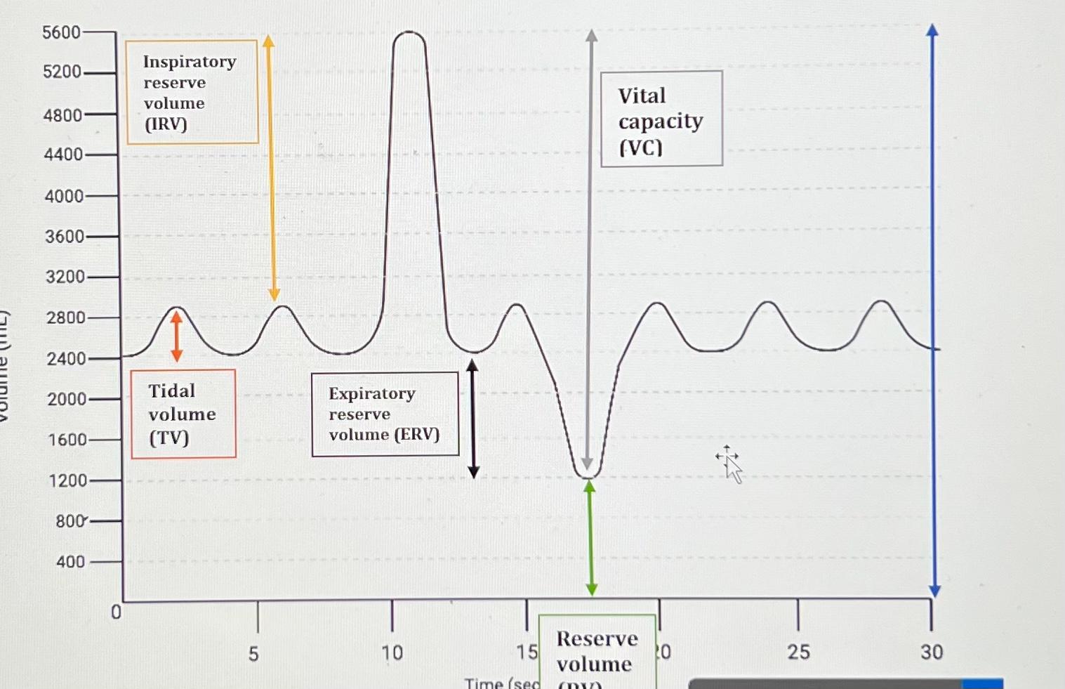 Solved using this spirograph calculate the respiratory rate | Chegg.com