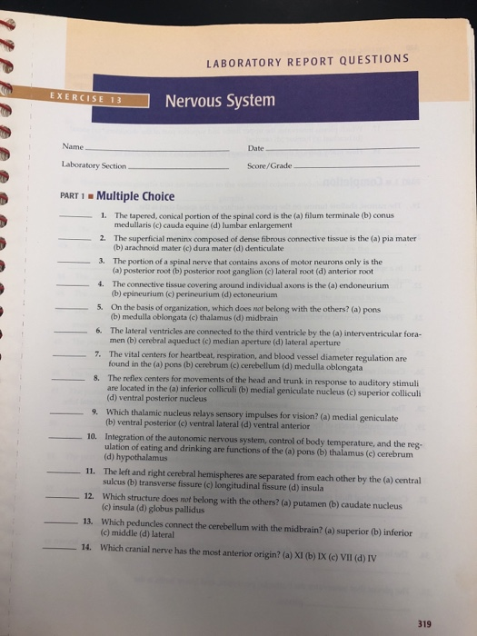 Solved LABORATORY REPORT QUESTIONS EXERCISE 13 Nervous | Chegg.com Solved LABORATORY REPORT QUESTIONS EXERCISE 13 Nervous | Chegg.com