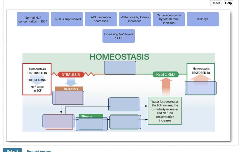 Solved Reset Help Normal Na concentration in ECF Thirst is | Chegg.com
