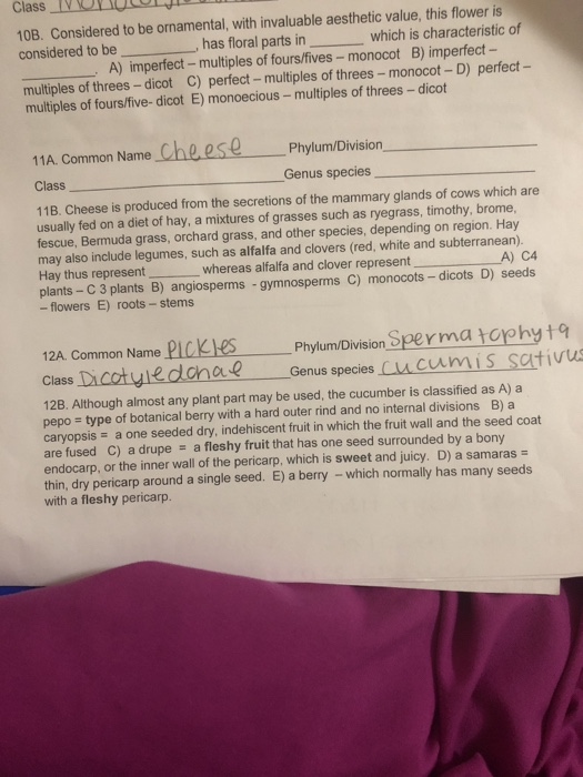 Solved Class 10B. Considered to be ornamental, with | Chegg.com