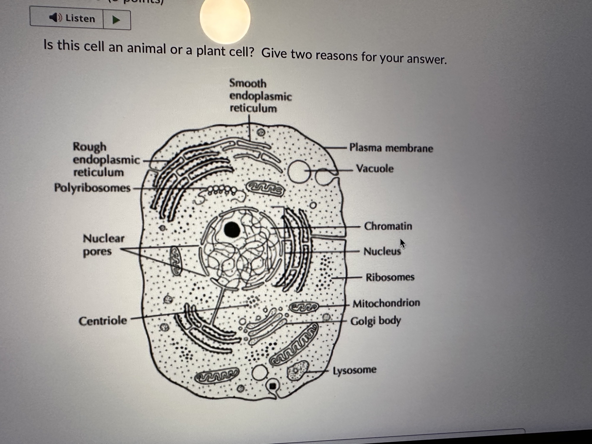 Solved Is this cell an animal or a plant cell? Give two | Chegg.com
