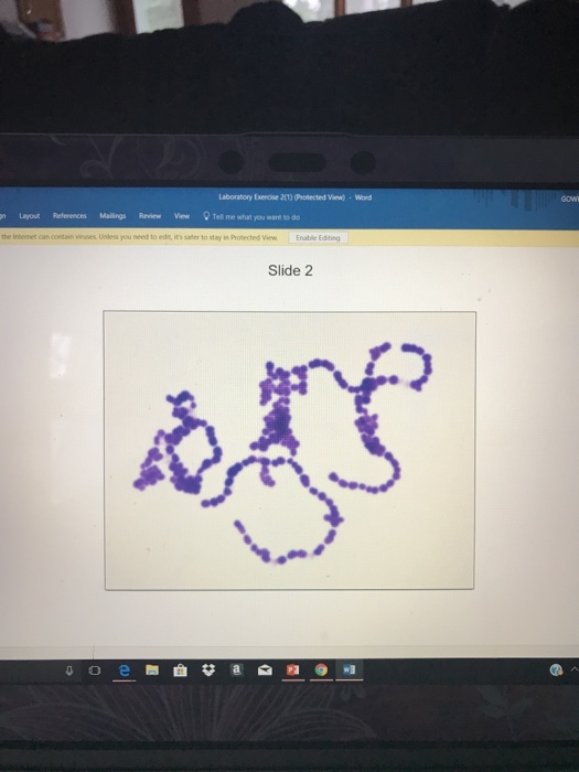 Solved GOWRY Laboratory Exercise 201) (Protected View) Word | Chegg.com