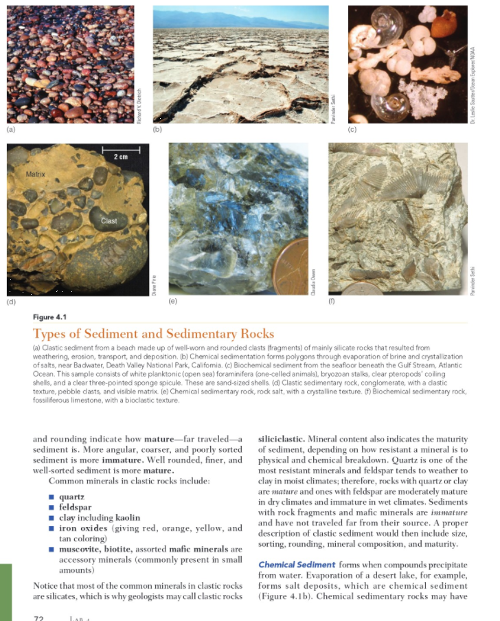 Table 4.1 Clastic Classification Classification of | Chegg.com