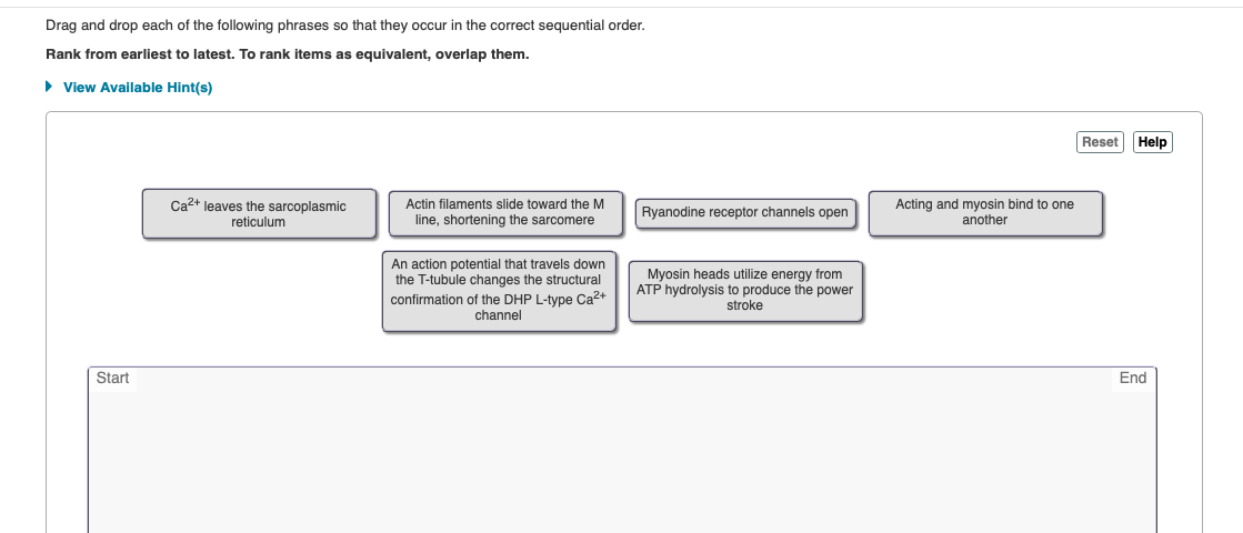 Solved Drag and drop each of the following phrases so that | Chegg.com