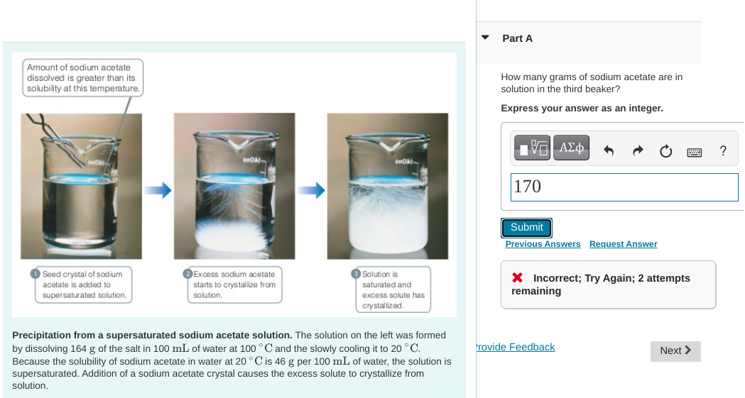 Solved How many grams of sodium acetate are in solution in | Chegg.com