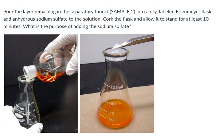 Solved Pour the layer remaining in the separatory funnel | Chegg.com