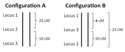 Although you have now successfully figured out the | Chegg.com