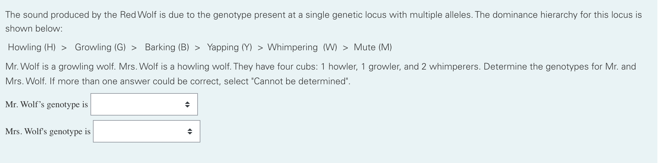 Solved The sound produced by the Red Wolf is due to the | Chegg.com