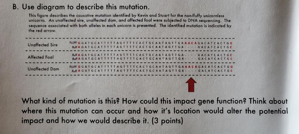 Solved B. Use diagram to describe this mutation. This figure | Chegg.com
