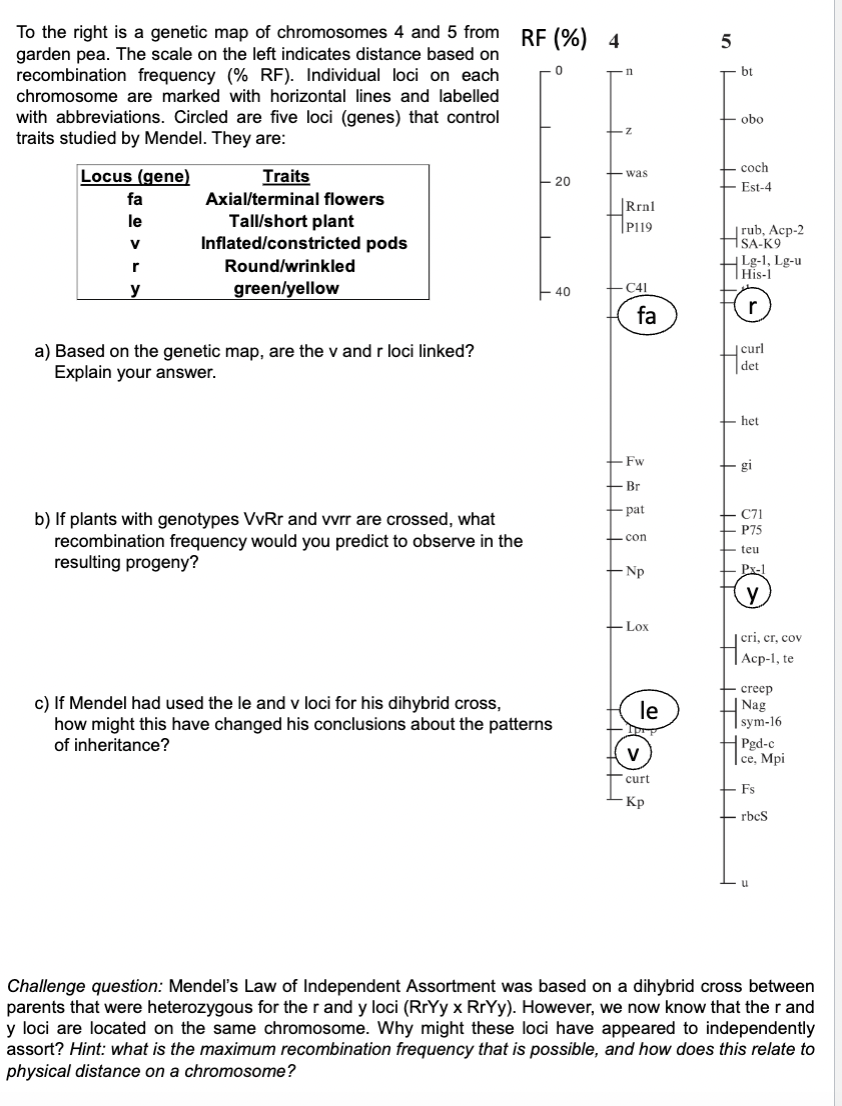 Solved To the right is a genetic map of chromosomes 4 and 5 | Chegg.com