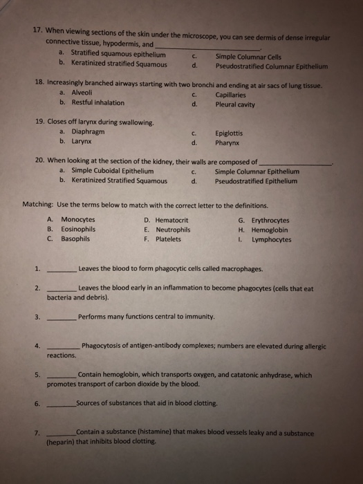 Solved Multiple Choice: Please circle the correct answer for | Chegg.com