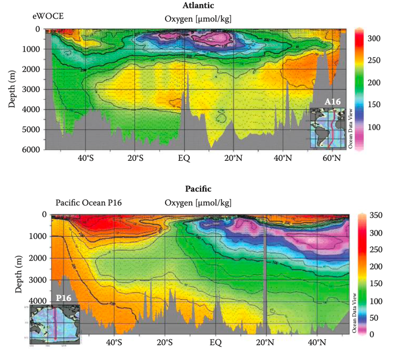 Solved The following graphs show the distributions of oxygen | Chegg.com
