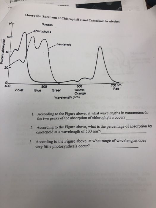 Solved Absorption Spectrum of Chlorophyll a and Carotenoid | Chegg.com